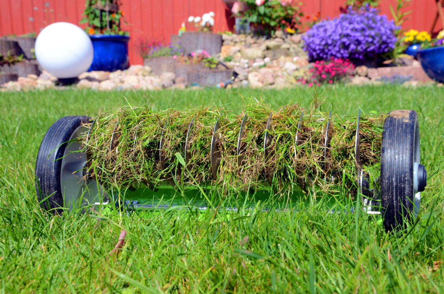 Rasen vertikutieren – so wird’s gemacht! - Rasenblog